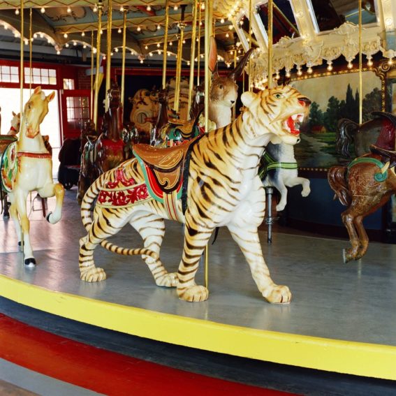 2 carousel sit ins: Glen Echo amusement park and Gwynn Wood